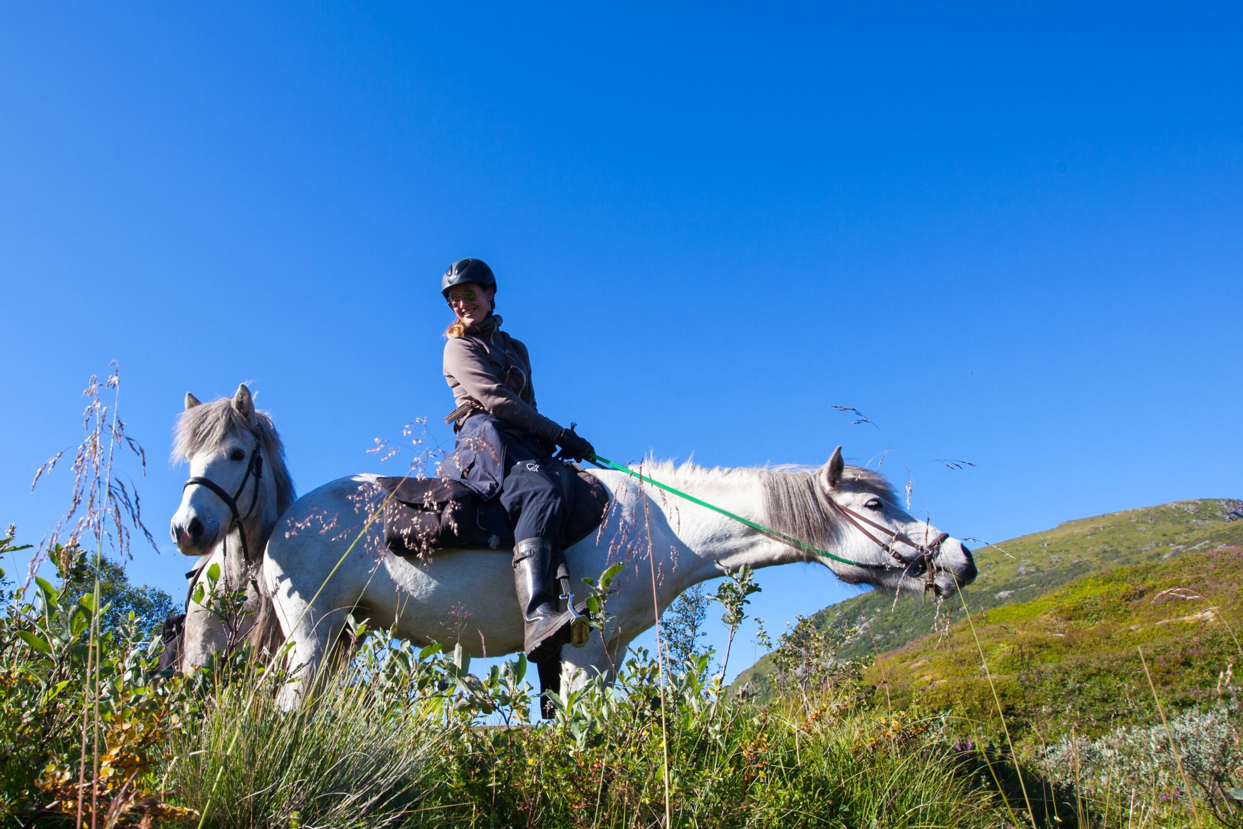 Viking Tour - Horseback riding on Icelandic Horses in Lofoten - Visit ...